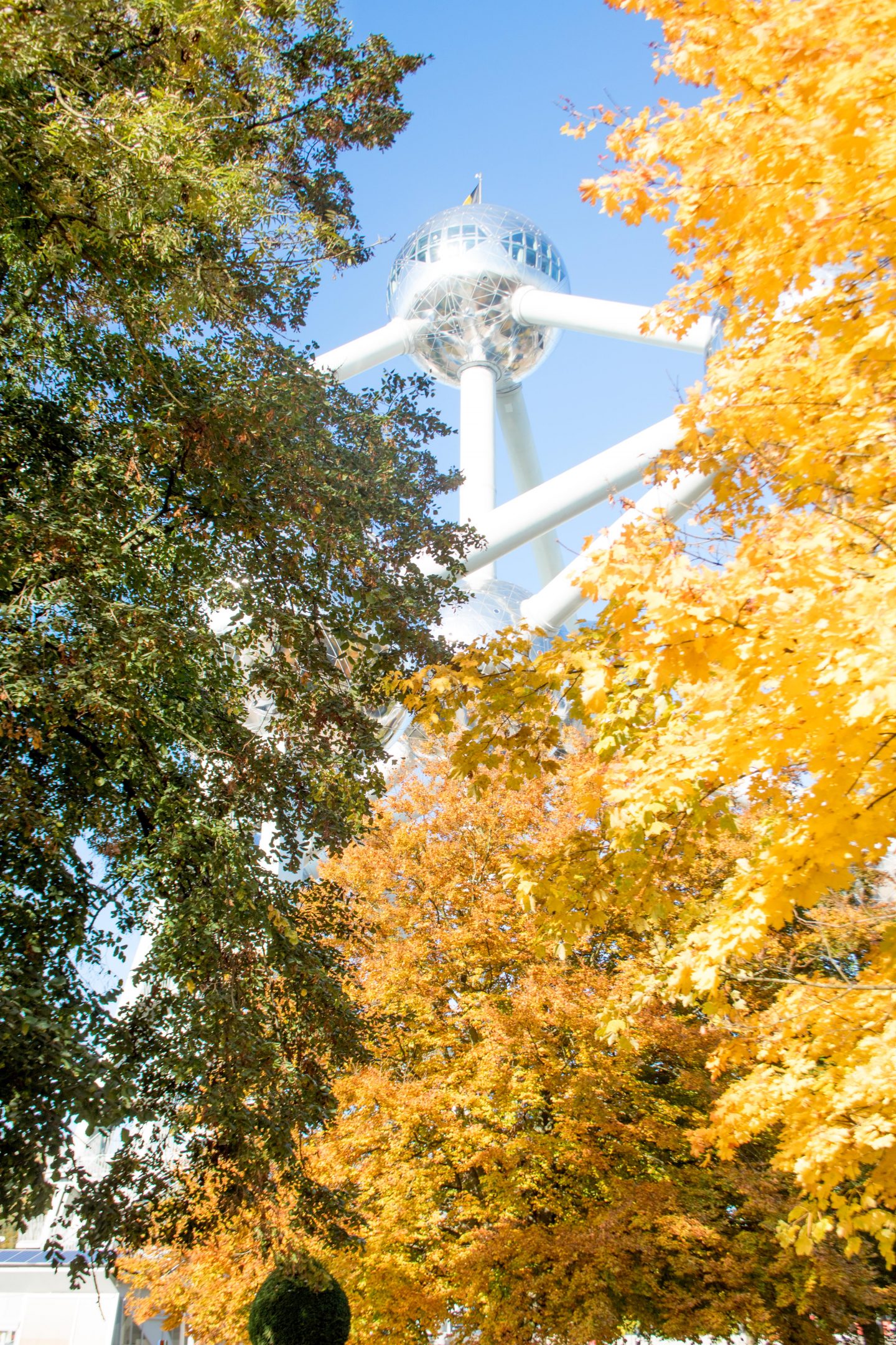 Enjoying Autumn in Brussels - We Love Brussels