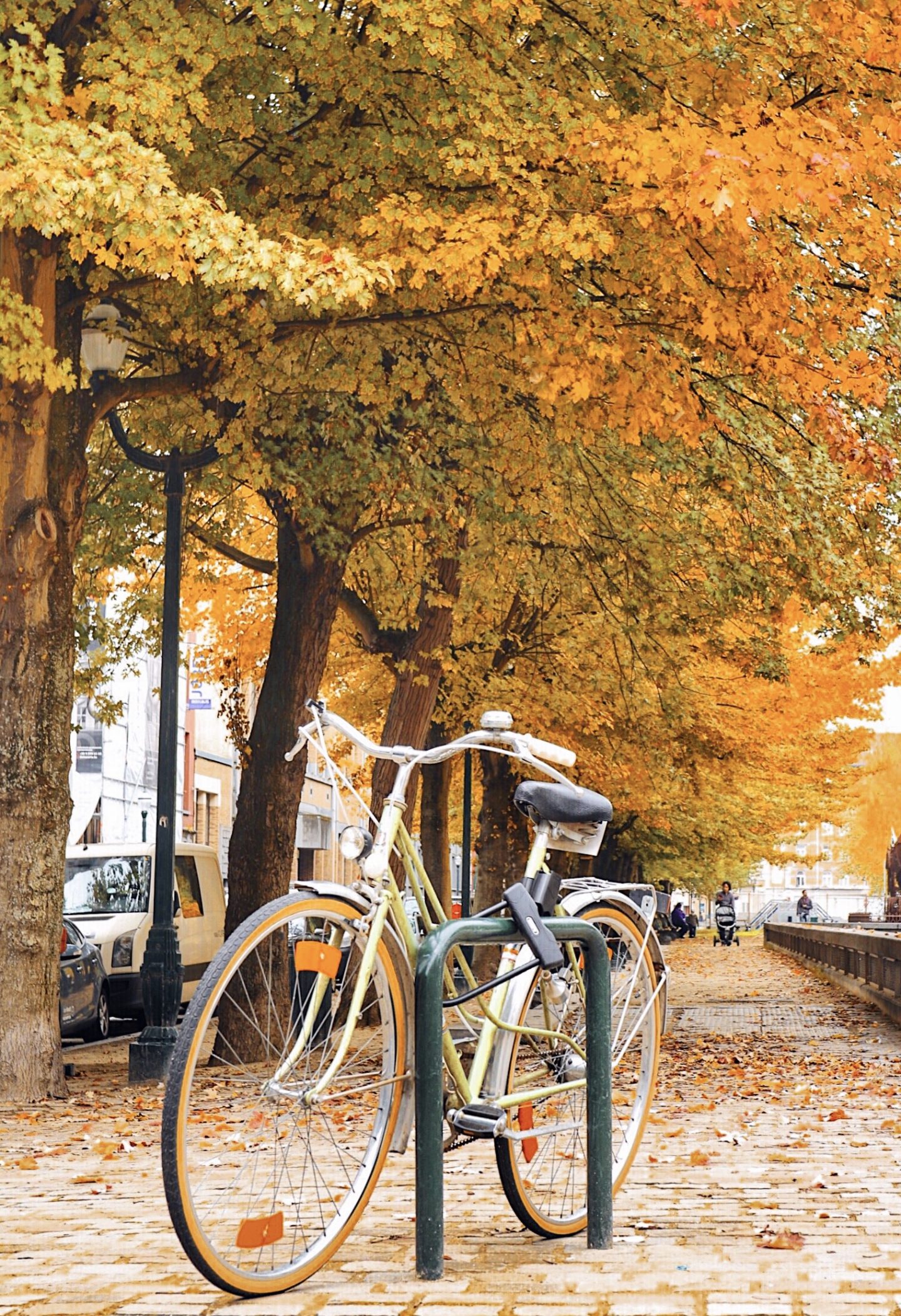 Enjoying Autumn in Brussels - We Love Brussels