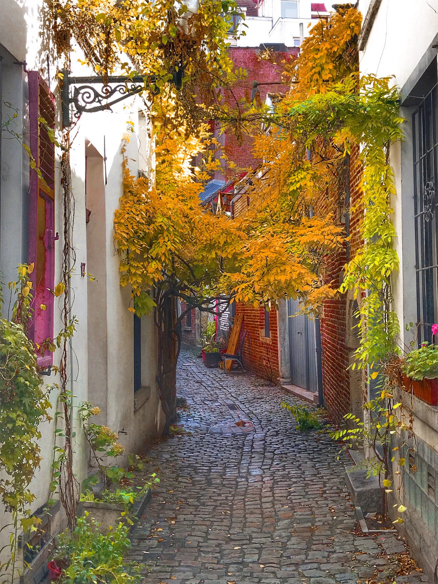 Enjoying Autumn in Brussels - We Love Brussels