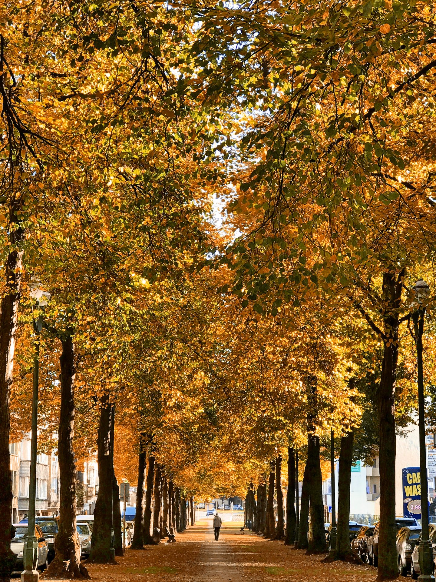 Enjoying Autumn in Brussels - We Love Brussels
