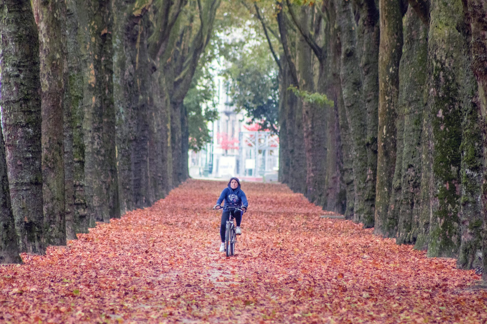 Enjoying Autumn in Brussels - We Love Brussels