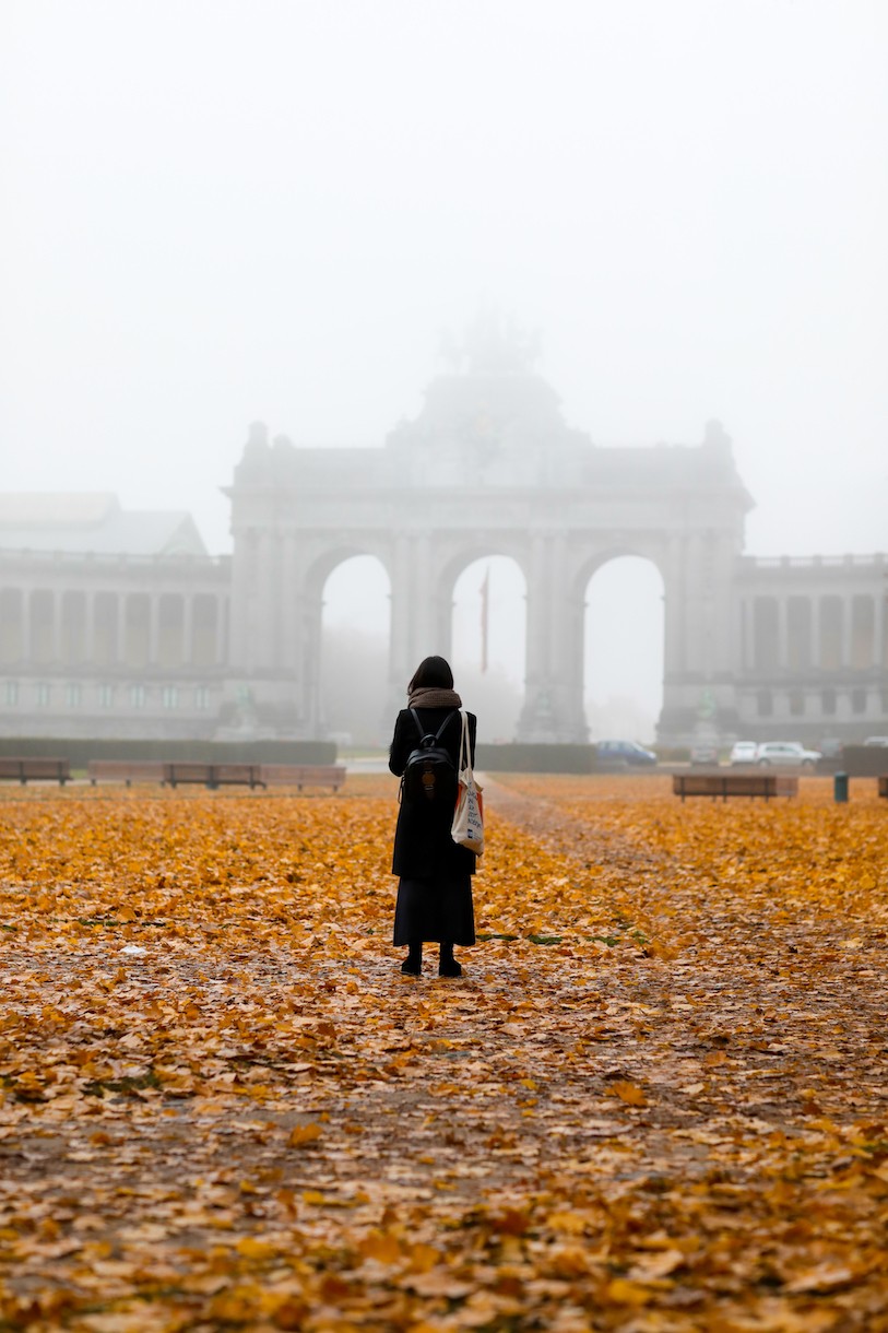 Photo gallery: The beautiful autumn - We Love Brussels