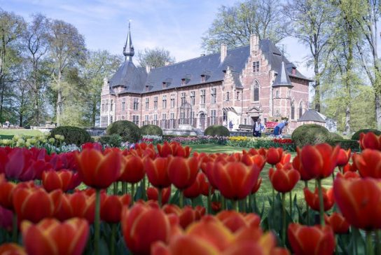 Photo story: Floralia Brussels - We Love Brussels