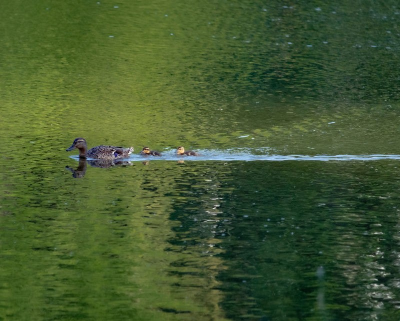 Photo story: Parc Seny - We Love Brussels