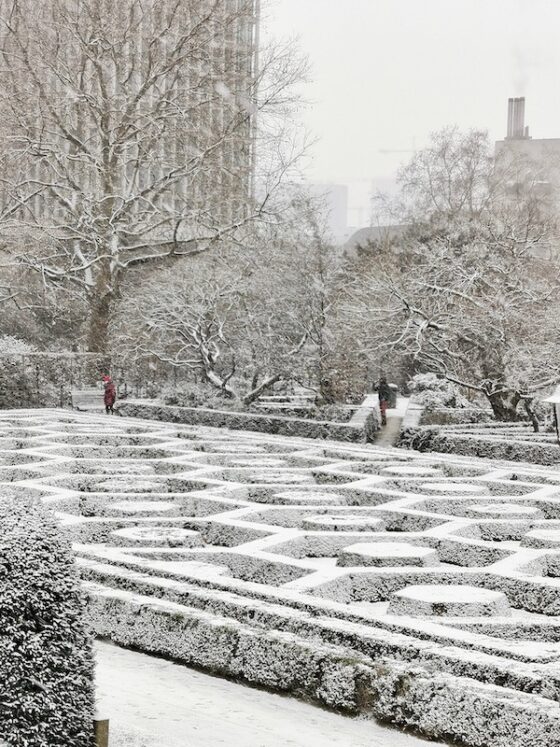 Photo story: Enjoying the snow in Brussels! - We Love Brussels