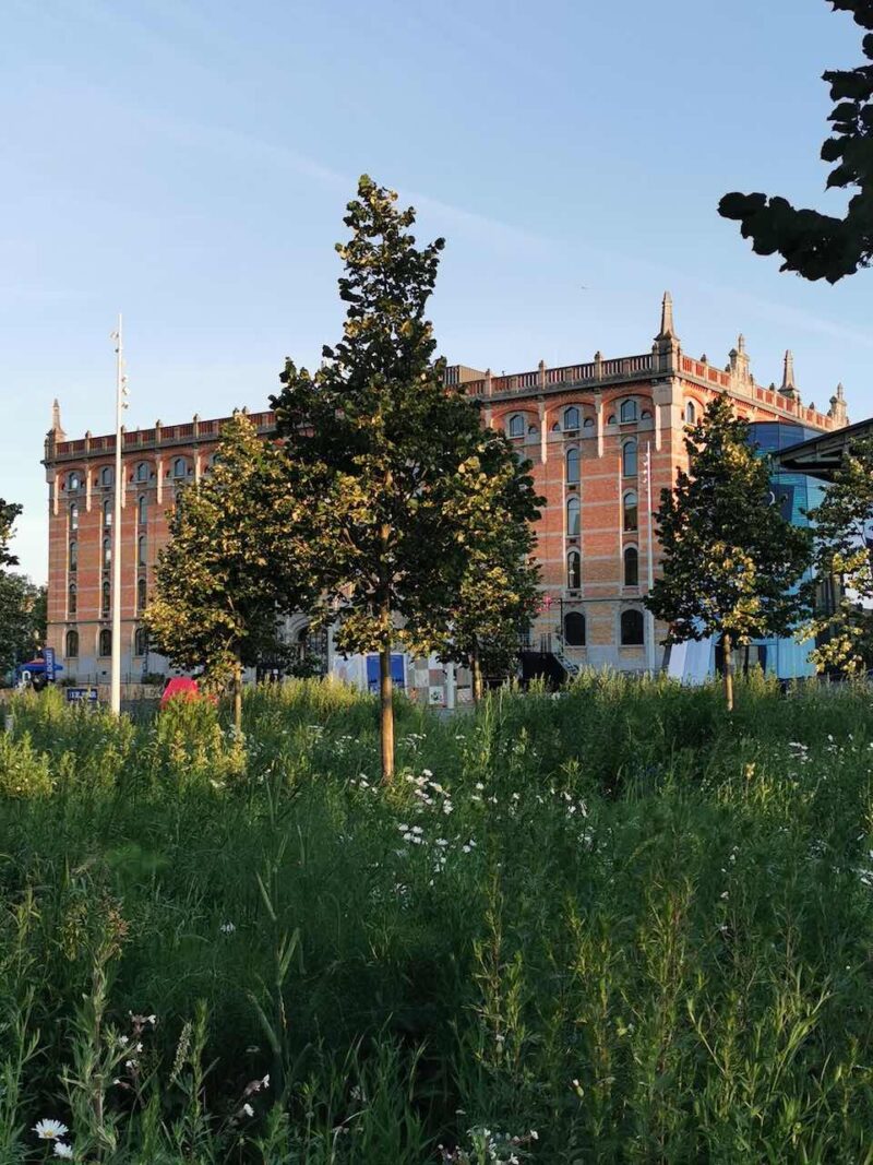 Full of life: The Summer of Tour & Taxis! - We Love Brussels