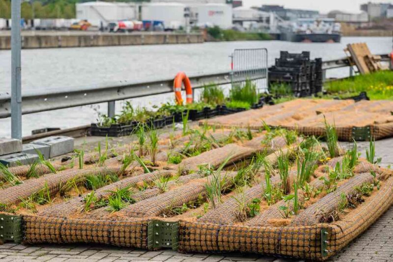 Floating green islands launched in the Port of Brussels - We Love Brussels