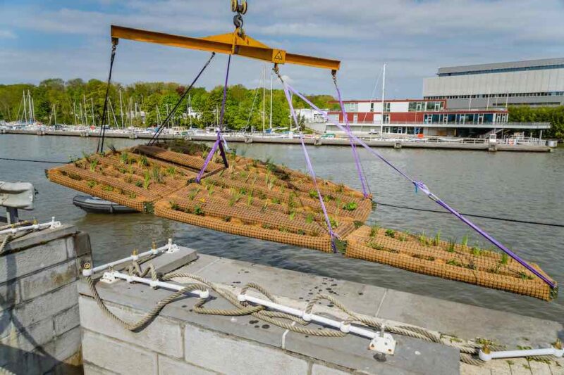 Floating green islands launched in the Port of Brussels - We Love Brussels