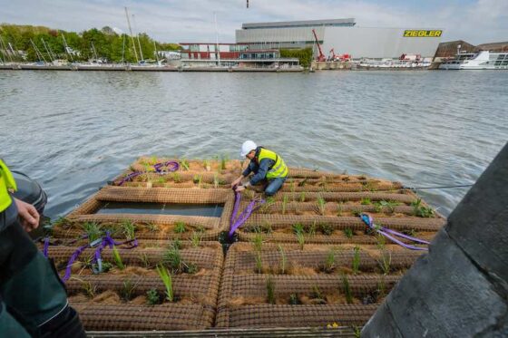 Floating green islands launched in the Port of Brussels - We Love Brussels