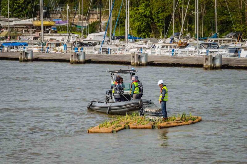 Floating green islands launched in the Port of Brussels - We Love Brussels