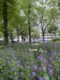 Our 29 favourite green spaces in Brussels - We Love Brussels